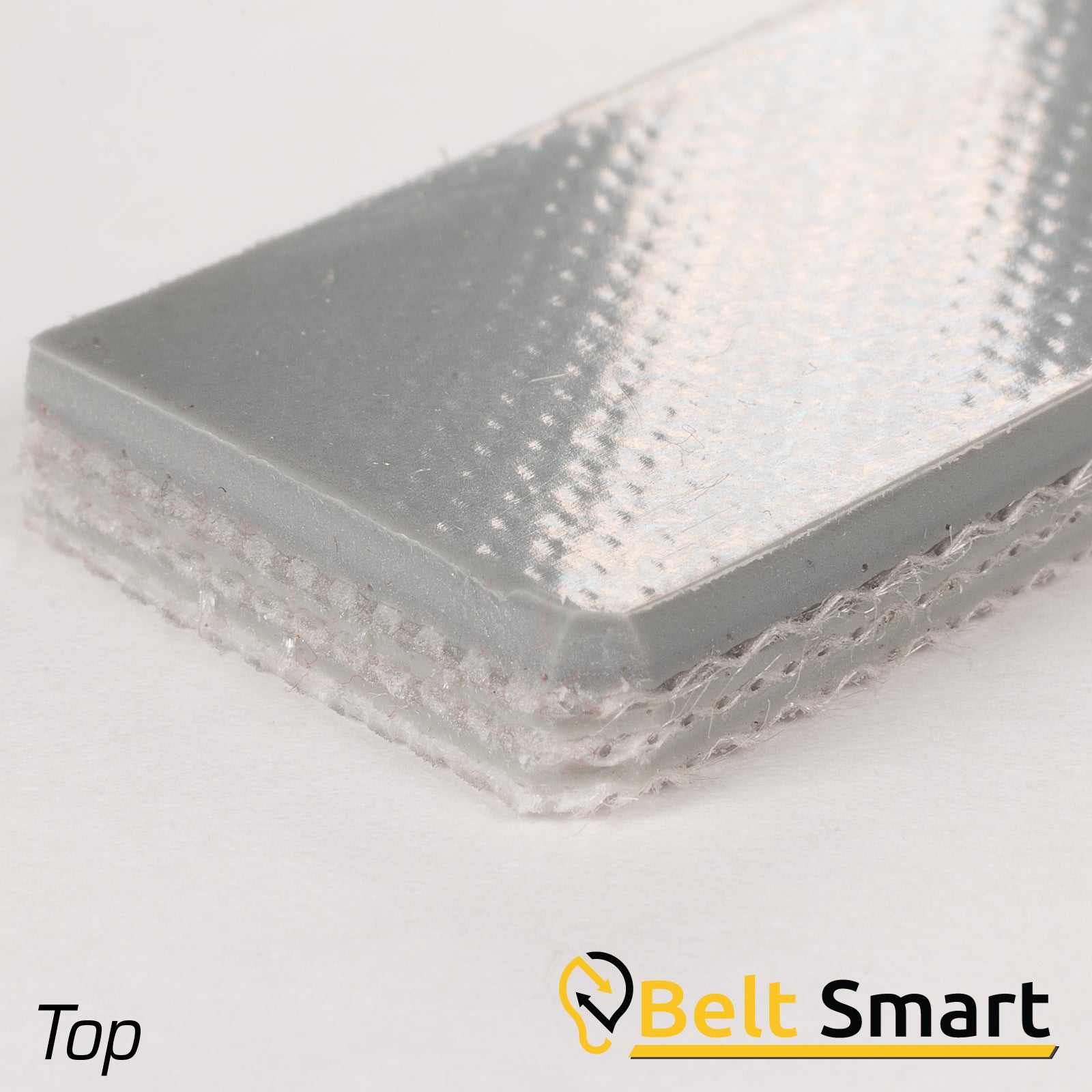Shop Our Conveyor Belt Samples Collection | Authorized Distributor